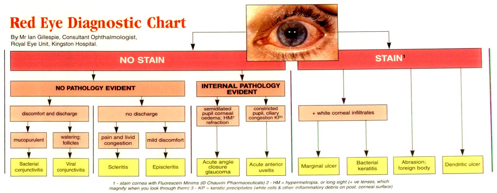 ophthalmology - Bradford VTS